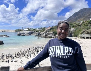 Custom Programs | CIEE